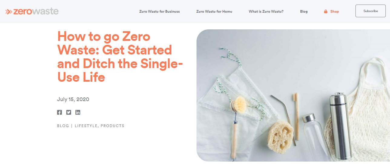 29 Best Eco-Friendly & Sustainable Companies You Must Know About in 2026