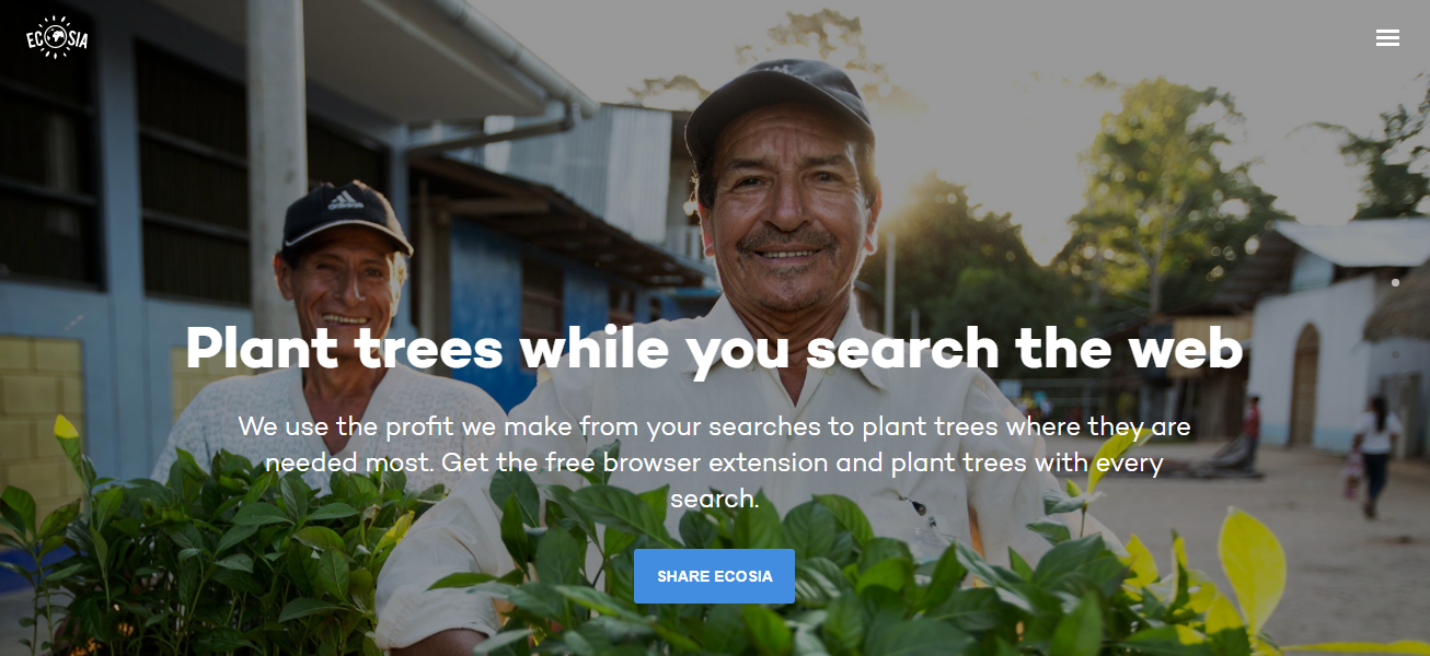 29 Best Eco-Friendly & Sustainable Companies You Must Know About in 2025