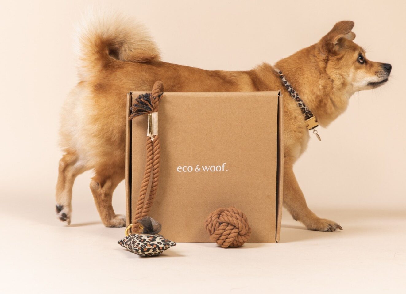 7 Eco-Friendly Awesome Dog Toys to Buy in 2024 (Review)