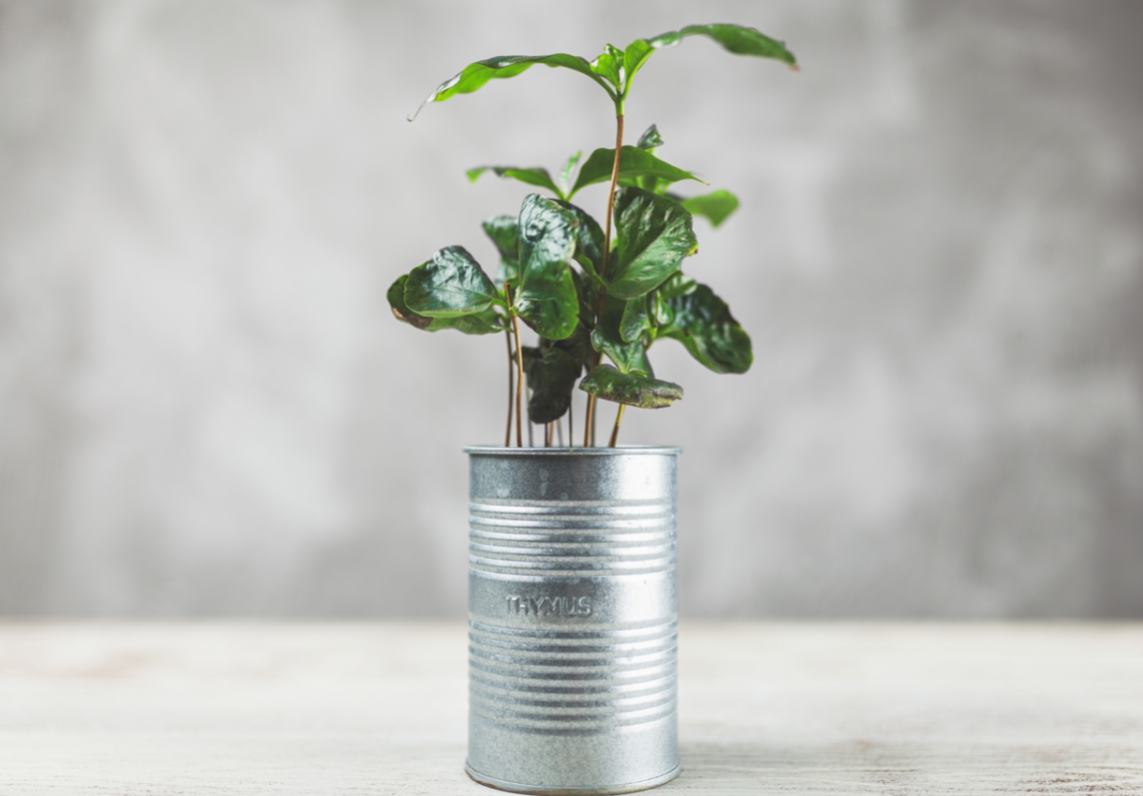 10 Simple Ways for Students to Live a Low-Waste Lifestyle (2026)