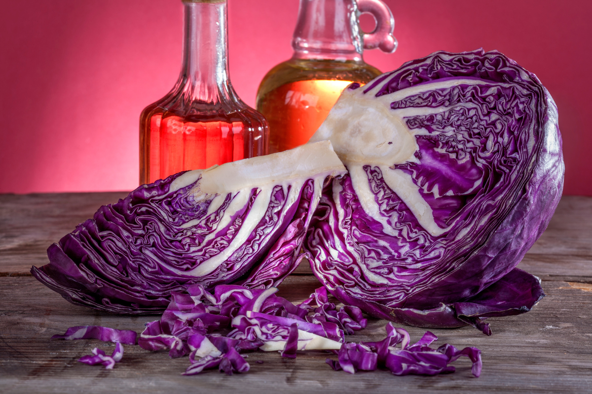 Natural Pigments:The Easy Guide to Making Dyes from Plants & Flowers [2026]