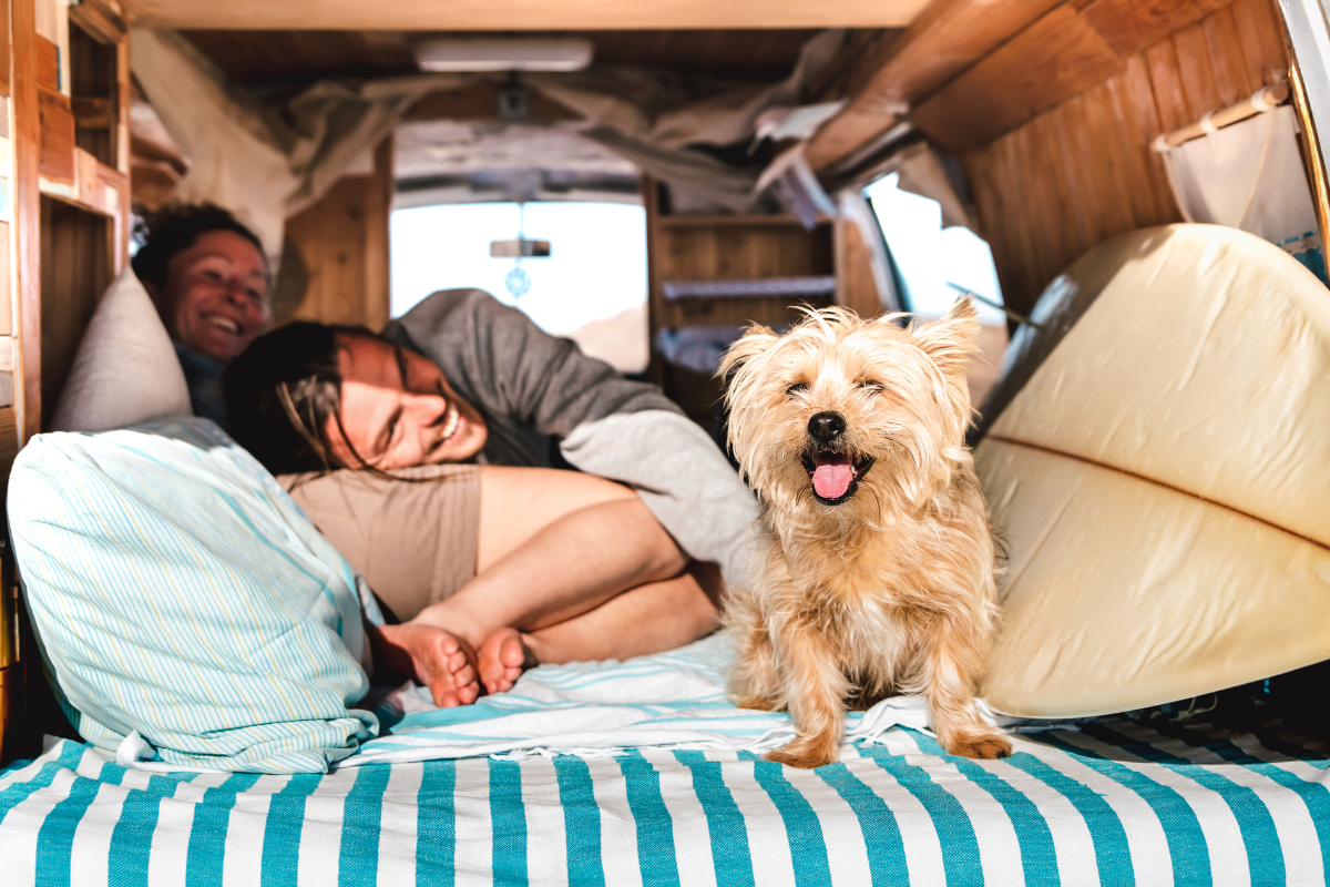 Embracing Van Life: A Step-by-Step Guide to Minimalism