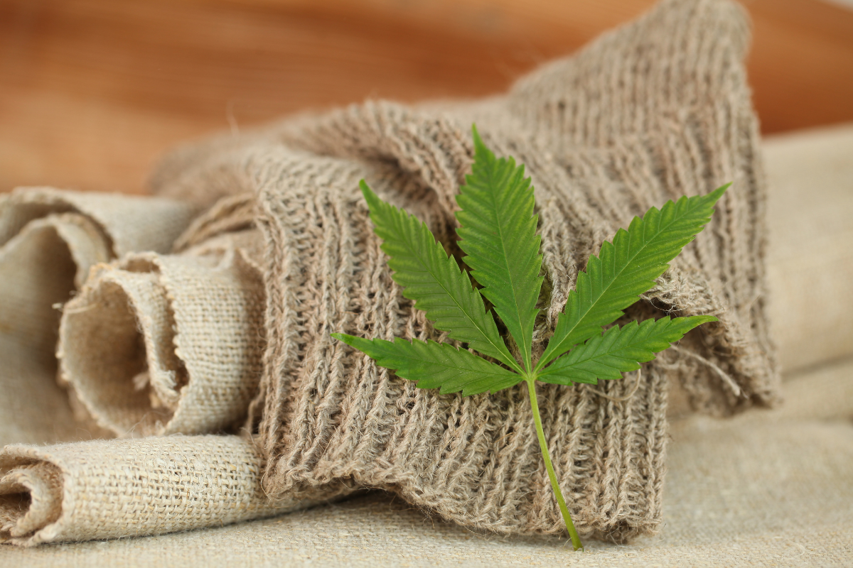 Guide: From Paper to Plastics: Sustainable Hemp Products 2024