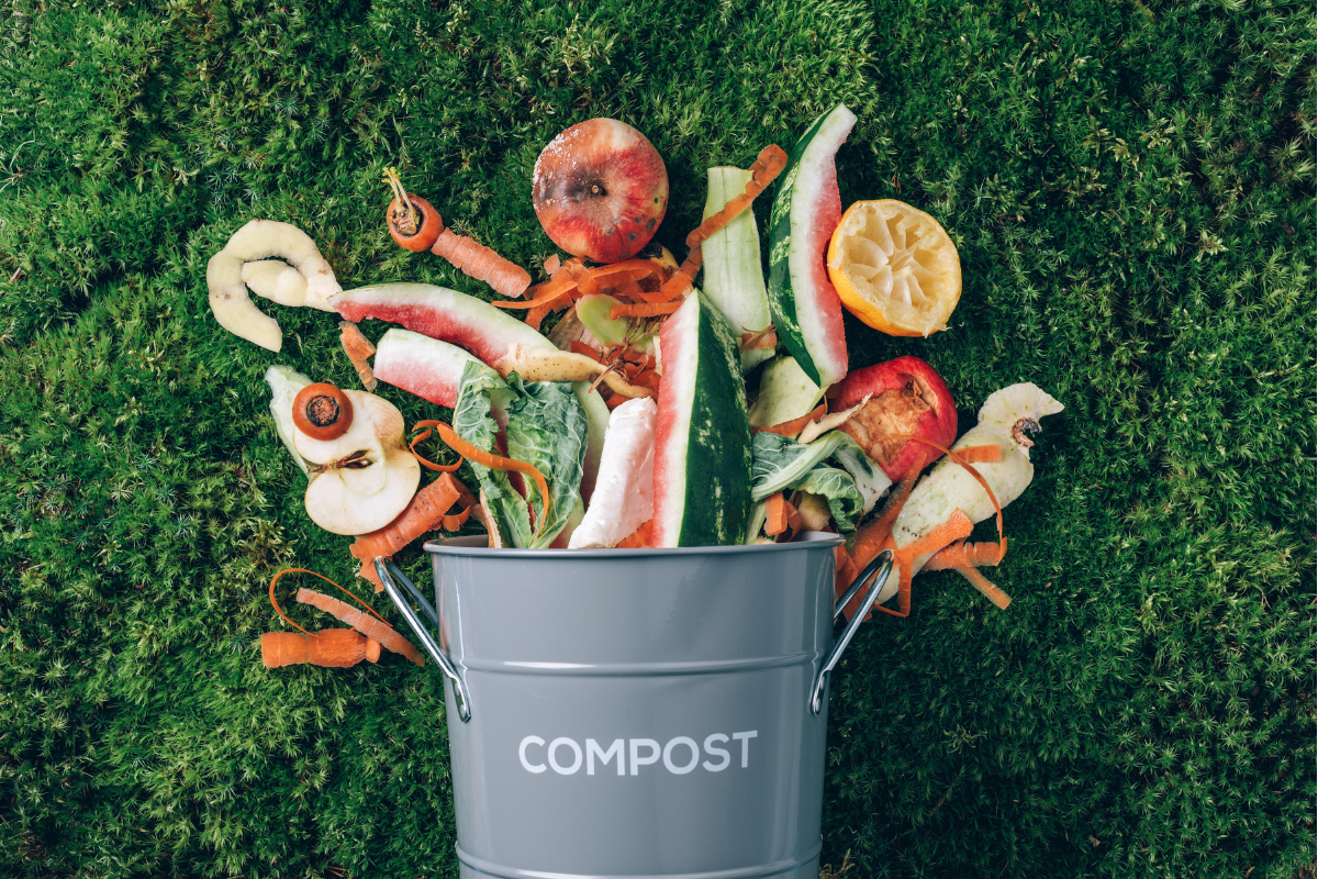 Composting Biodegradable Packaging: How to Get it Right (Guide)
