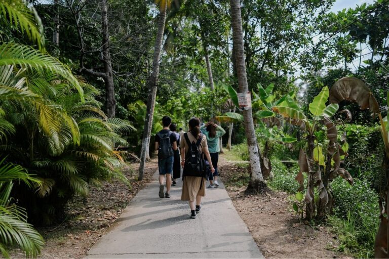 Ecotourism: Strategies for Sustainable Travel in 2024 and Beyond ...