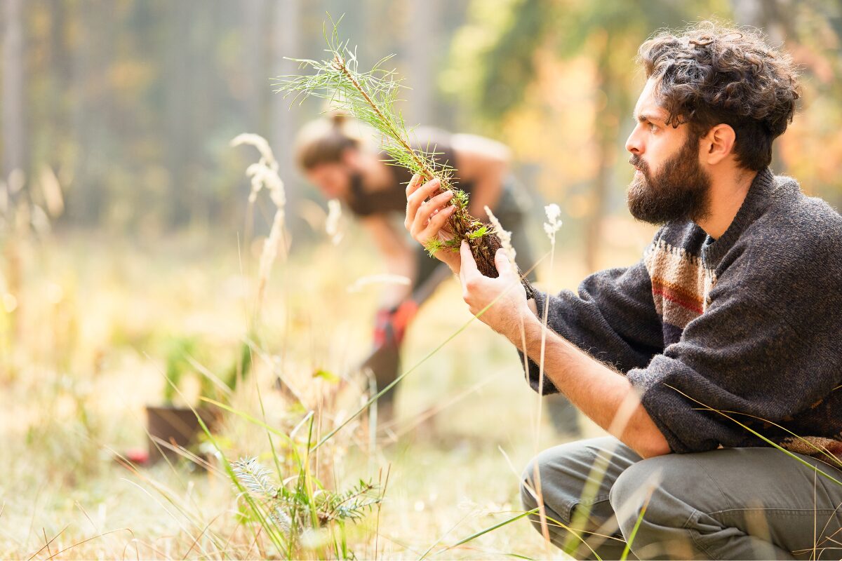 Sustainable Forestry: Benefits, Best Practices and Initiatives for Eco ...