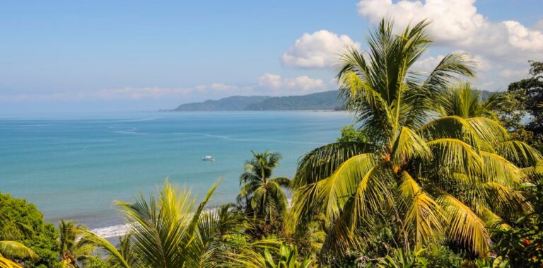 Ecotourism: Strategies for Sustainable Travel in 2024 and Beyond ...