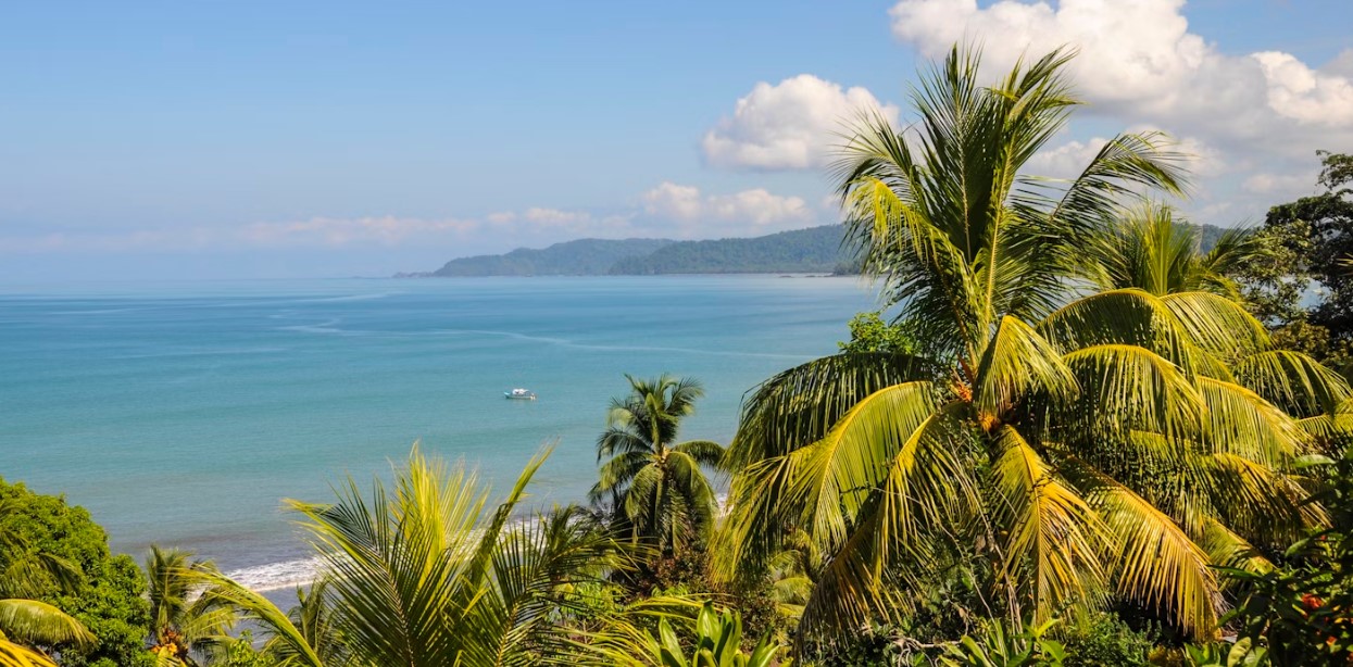 Ecotourism: Strategies for Sustainable Travel in 2026 and Beyond ...