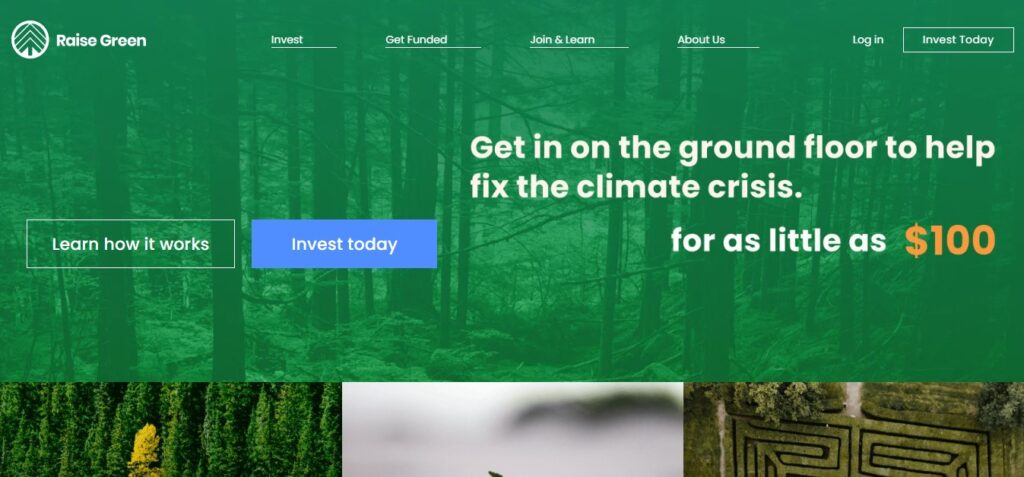 14 Green FinTech Companies To Lead a Change in 2024 & Beyond