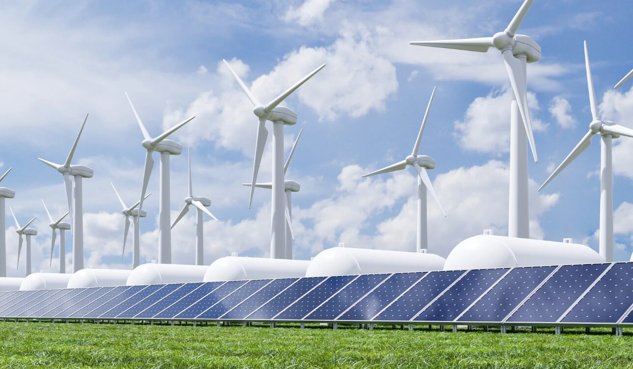 14 Climate Tech Companies Helping To Solve Climate Change [2024 Review]