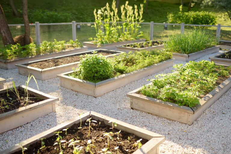 Eco-Friendly Parks: 7 Best Practices & 6 Examples Worldwide [2026]