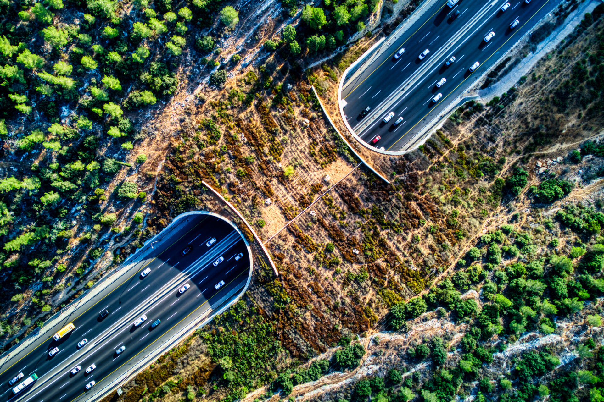 Green Highways: The Path to Sustainable Roads in 2025