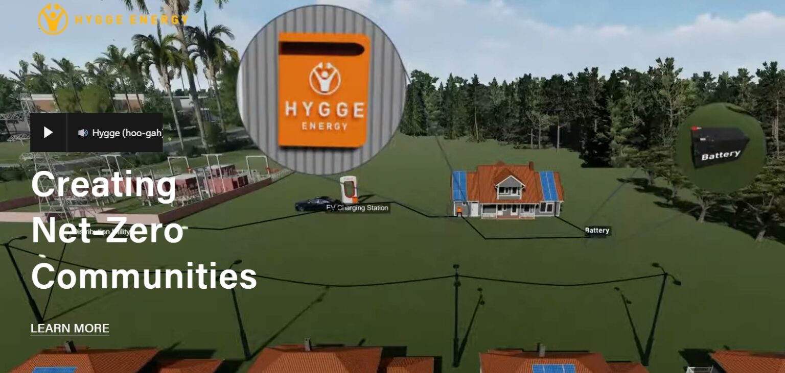 12 Best Peer to Peer Energy Trading Platforms for Net Zero