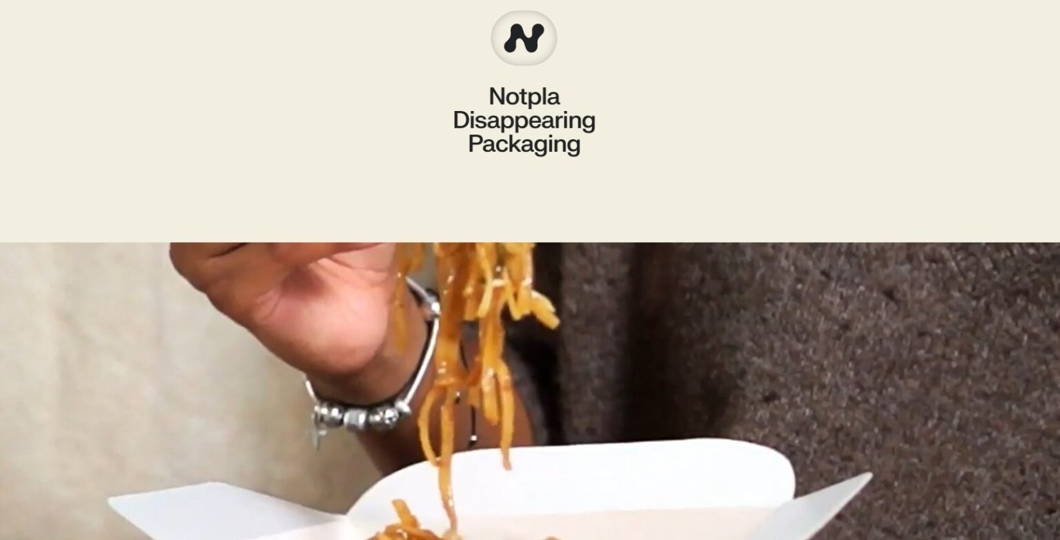 Top 14 Sustainable Packaging Companies in 2024