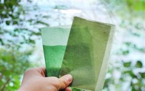 7 Eco- Friendly Alternative Materials to Plastic for 2024 and Beyond