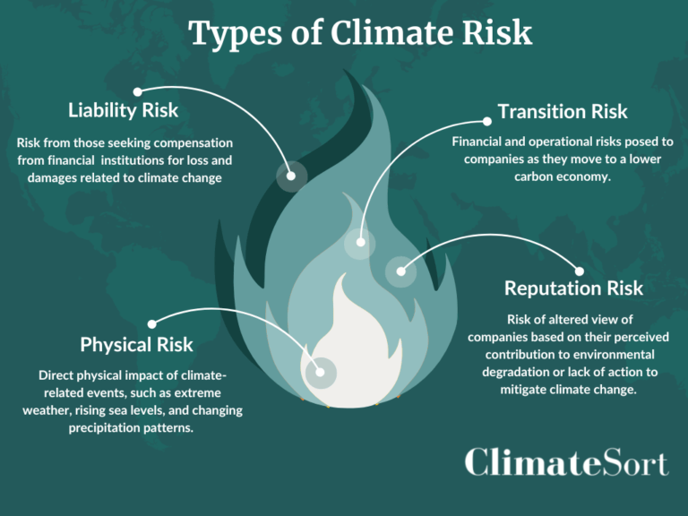 12 Best Climate Risk Consultants To Mitigate and Report Risk
