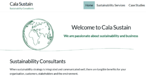 12 Best Sustainability & Sustainability Management Consultants in 2025