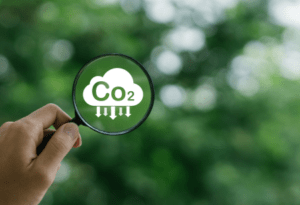Top 6 Carbon Credit Trading Platforms in 2025 [Full Review]